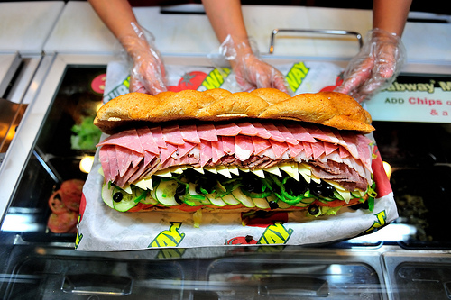 Chicago-area Subway shop shut after link to Shigella cases | barfblog