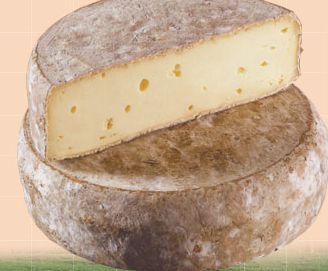 48 sick: people poisoned by Salmonella in French market cheese | barfblog