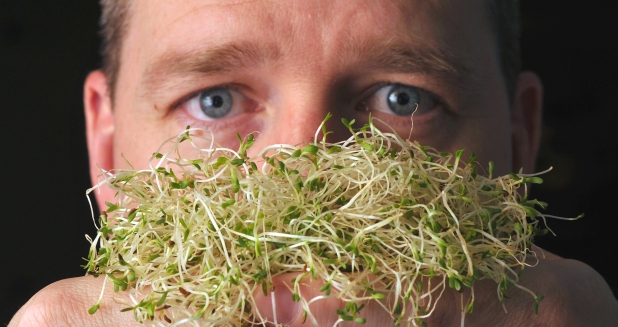 What we’ve got here is failure to communicate: sprouts and food safety ...
