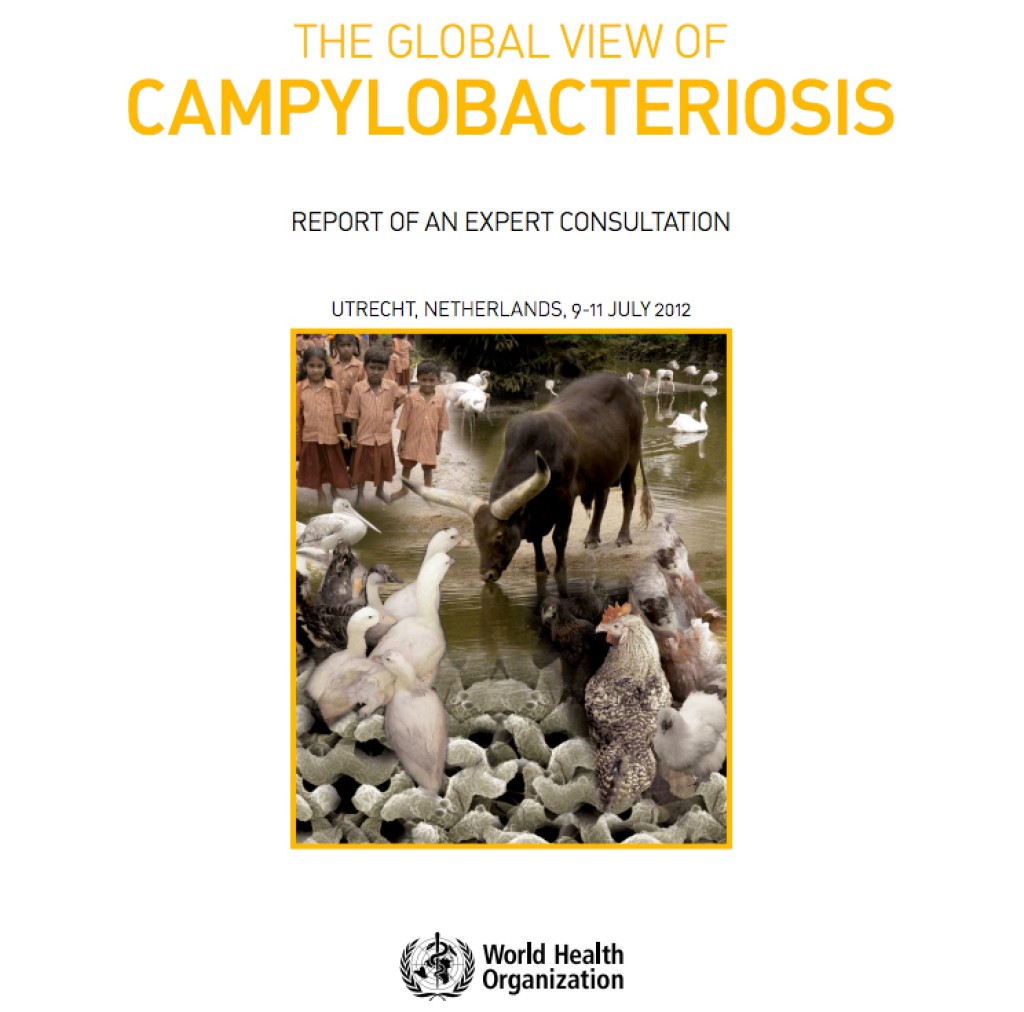 WHO: the global view of Campylobacteriosis | barfblog