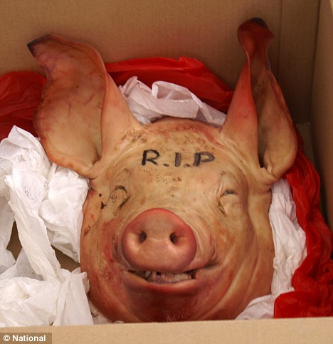 Is it safe to keep a pig’s head with baked goods? Judge reserves ...