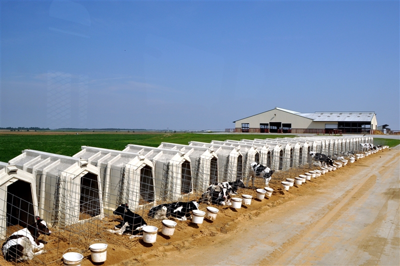 Fair Oaks | barfblog