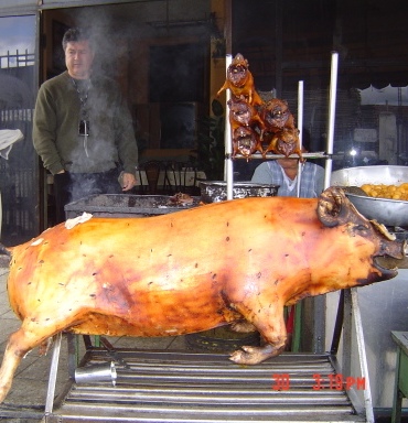 Chinese officials dismissed over diseased meat scandal | barfblog