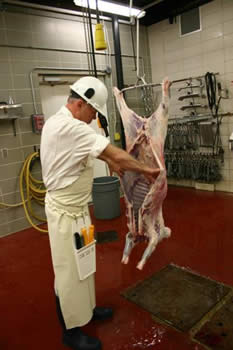 meat inspection | barfblog