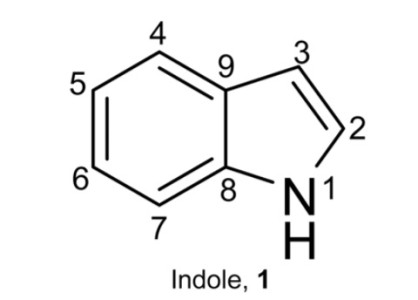 indole | barfblog