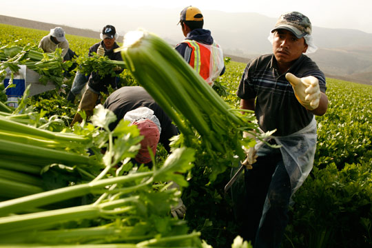 Minnesota vs. California: Investigators can’t identify source of E ...