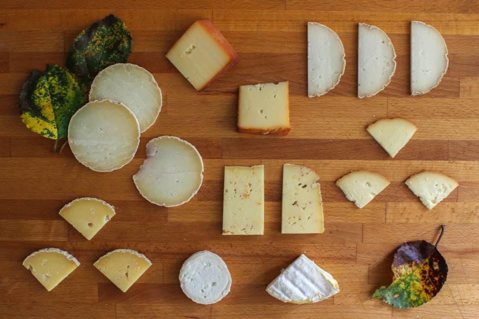 Shiga toxin producing E. coli in raw milk cheese in Ireland | barfblog