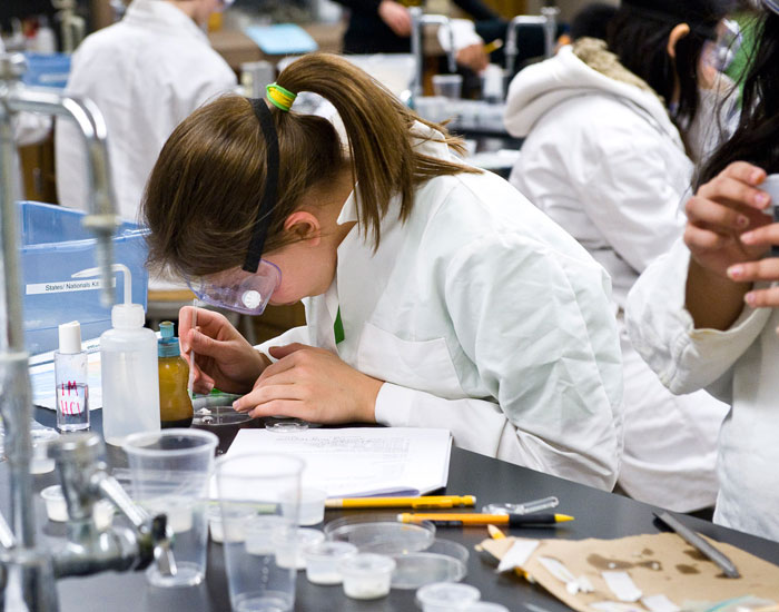 disease detectives | barfblog