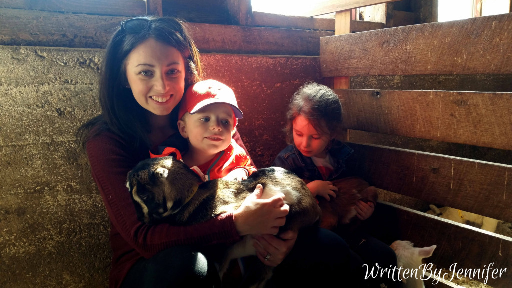 15 sick with E. coli linked to goats at Conn. farm | barfblog