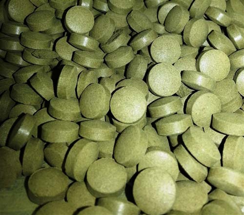 Shiga toxin-producing Escherichia coli in organic wheatgrass tablets ...