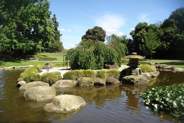 E.coli, Giardia and crypto: Beware the duck pond at NZ Botanical ...