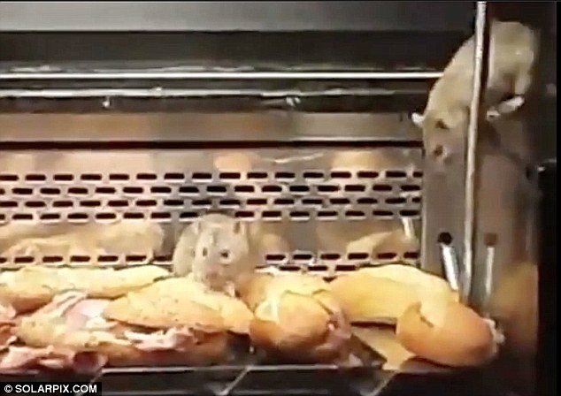 Rat | barfblog | Page 2