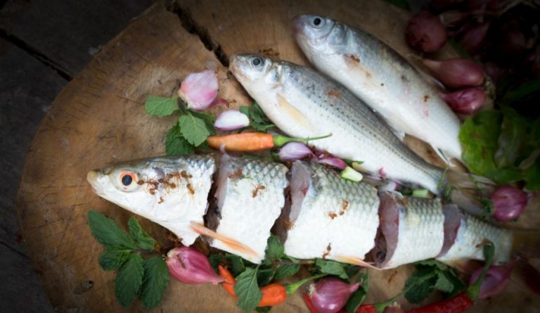 Fancy food ain’t safe food: Trump’s Mar-a-Lago kitchen edition | barfblog