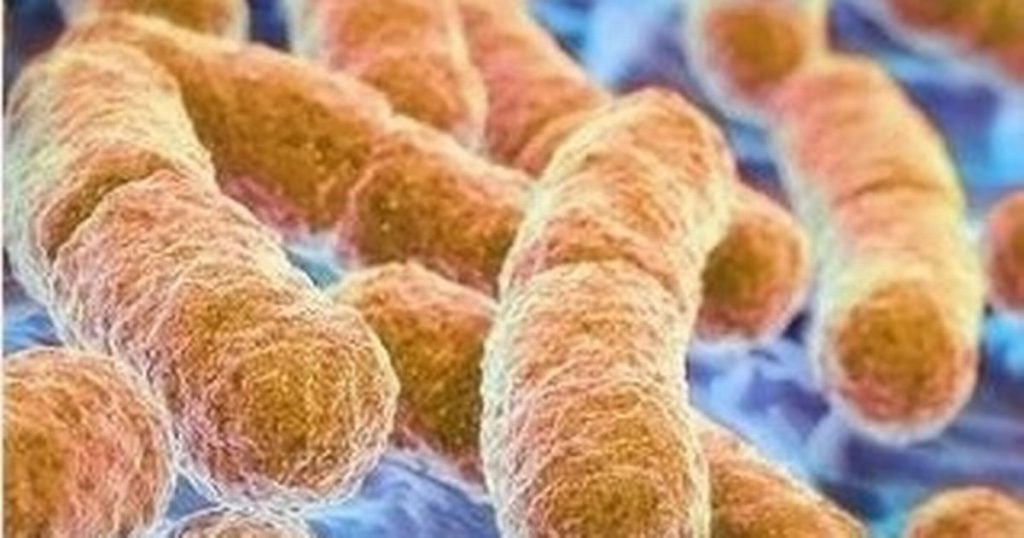 Shiga-toxin E. coli at UK nursery sparks NHS probe | barfblog